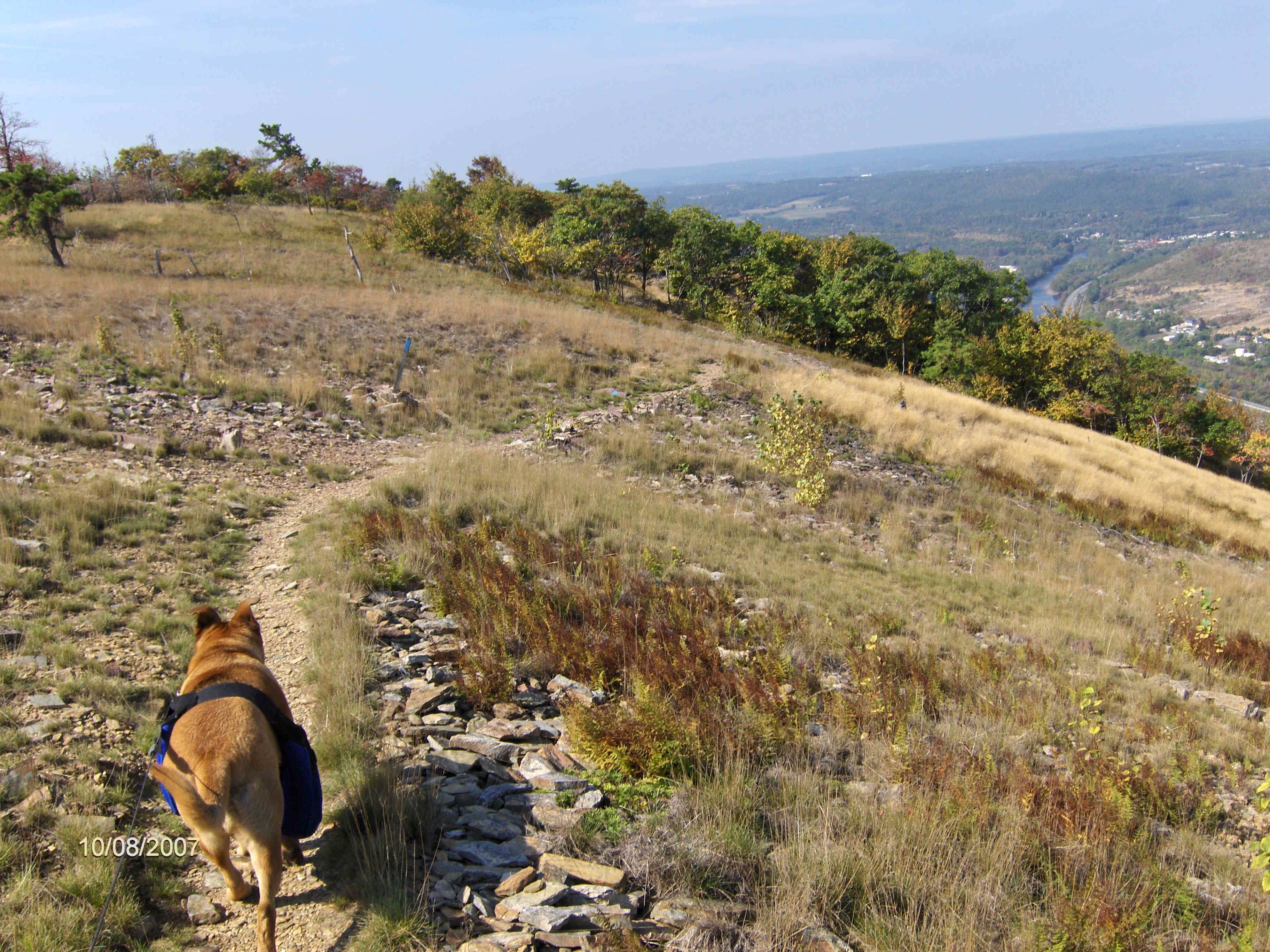 Blue Mountain Loop