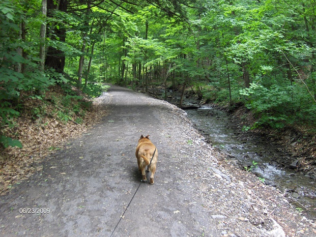Labrador Hollow Unique Area